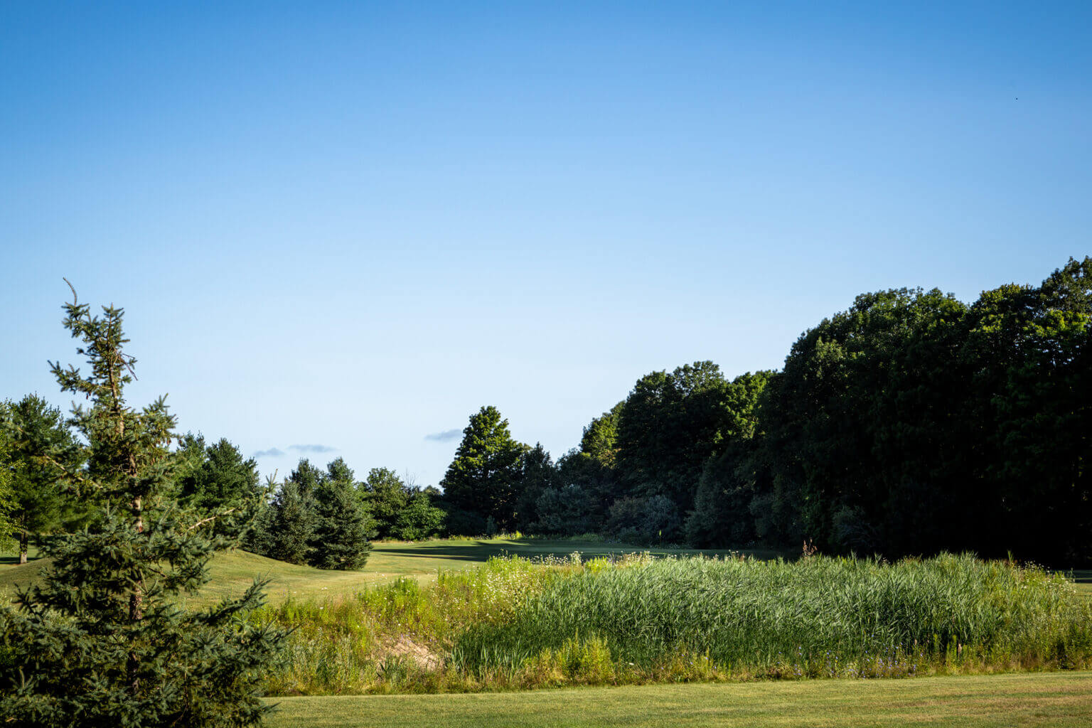 Gallery – Eden Golf Club