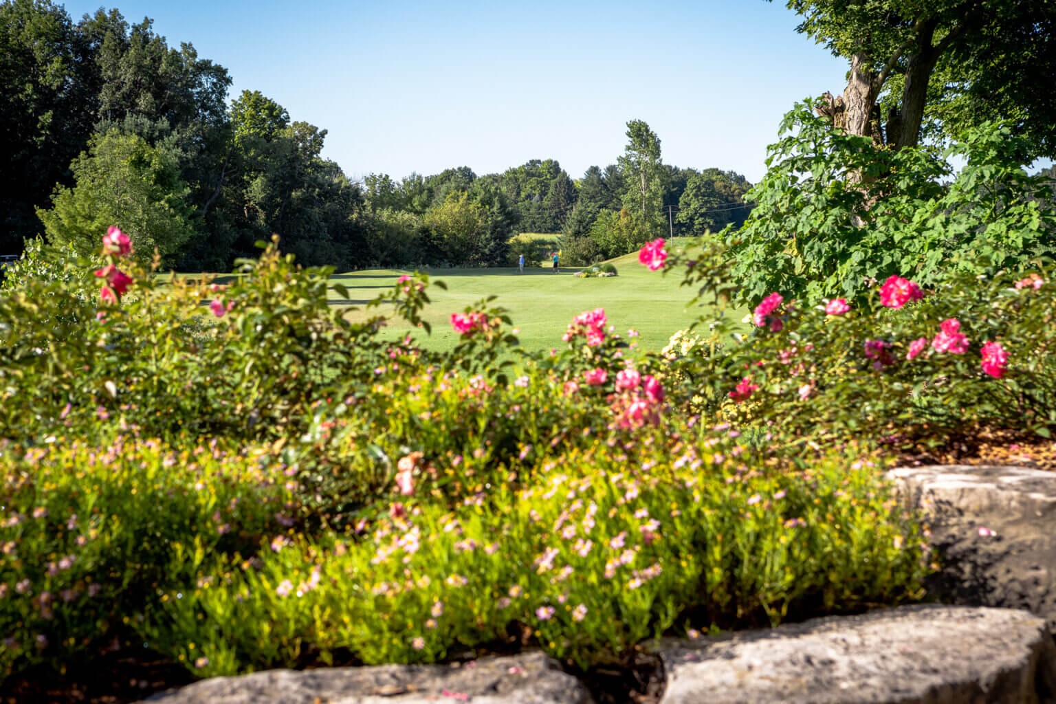 Gallery – Eden Golf Club